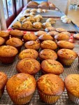 Native Son Farm – Tupelo, MS – Eating Out With Jeff Jones