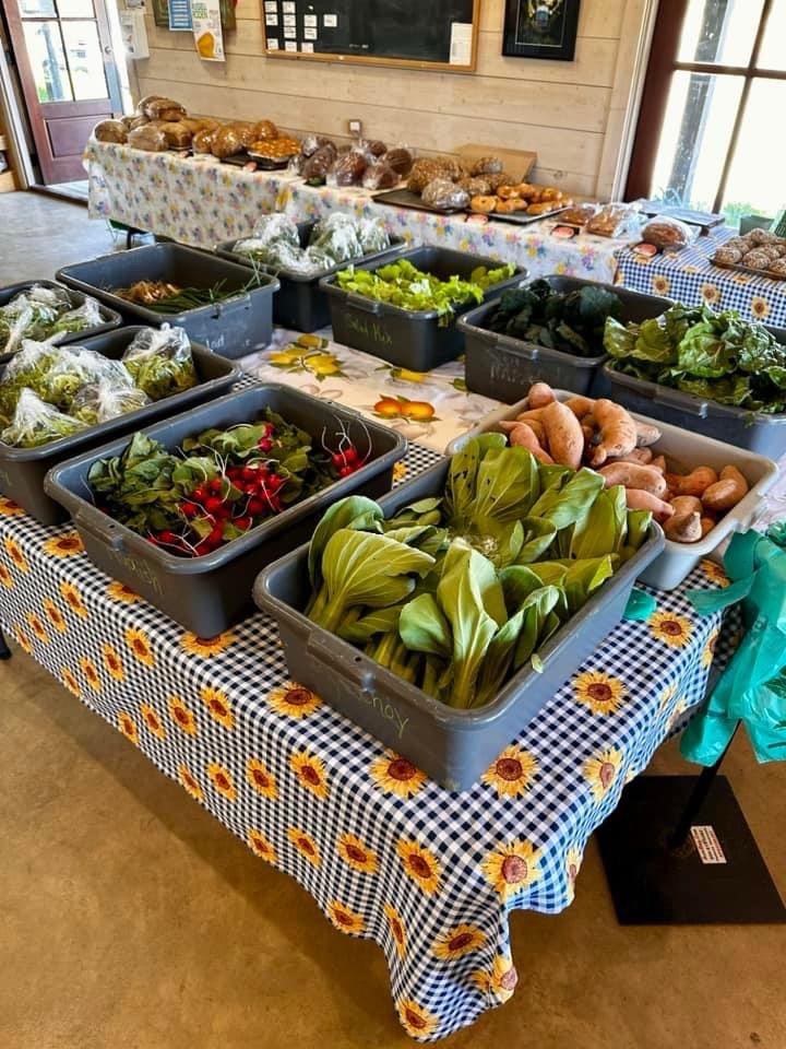 Native Son Farm – Tupelo, MS – Eating Out With Jeff Jones