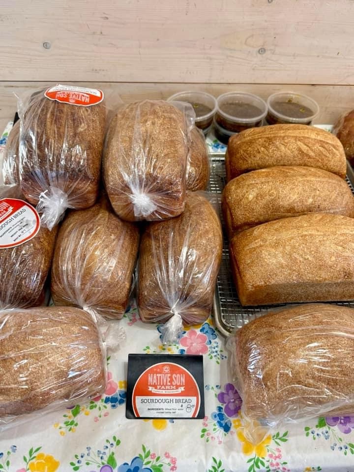 Native Son Farm – Tupelo, MS – Eating Out With Jeff Jones